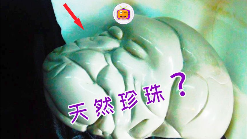 5个最大的天然珍珠,已经发现和记录的最大的珍珠到底有多大呢?
