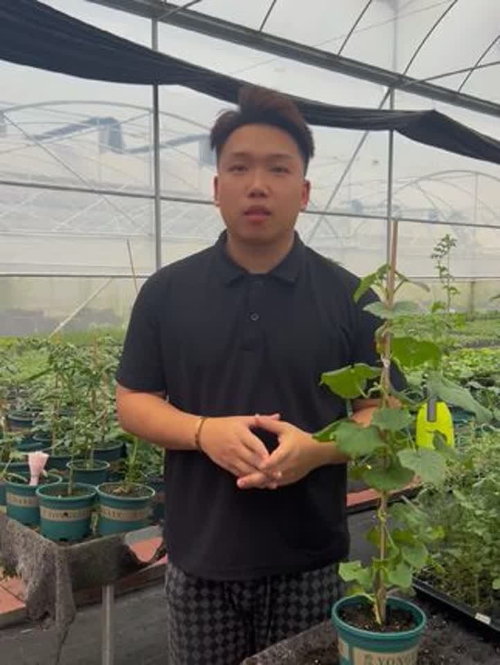 种植小技巧#三农 #2024新农人计划