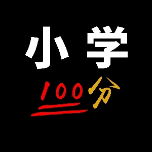 小学双百 