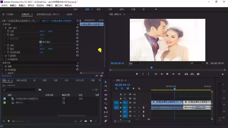 抖音自媒体必备教程PR:音频过渡、音频效果的添加方法#知识青年#