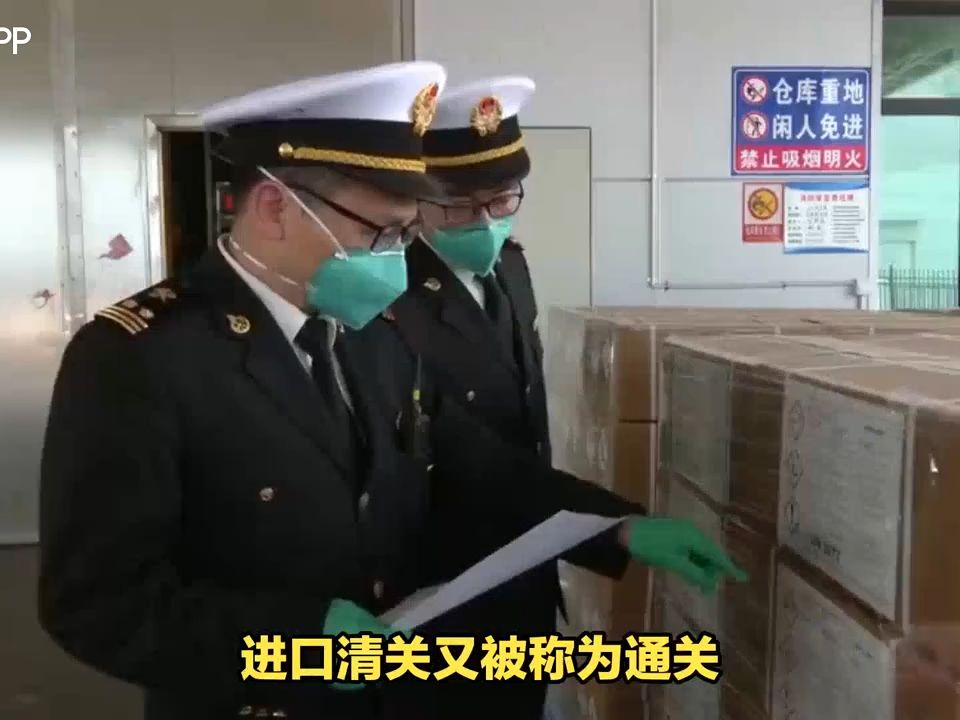 进口报关与进口清关的区别与联系解析