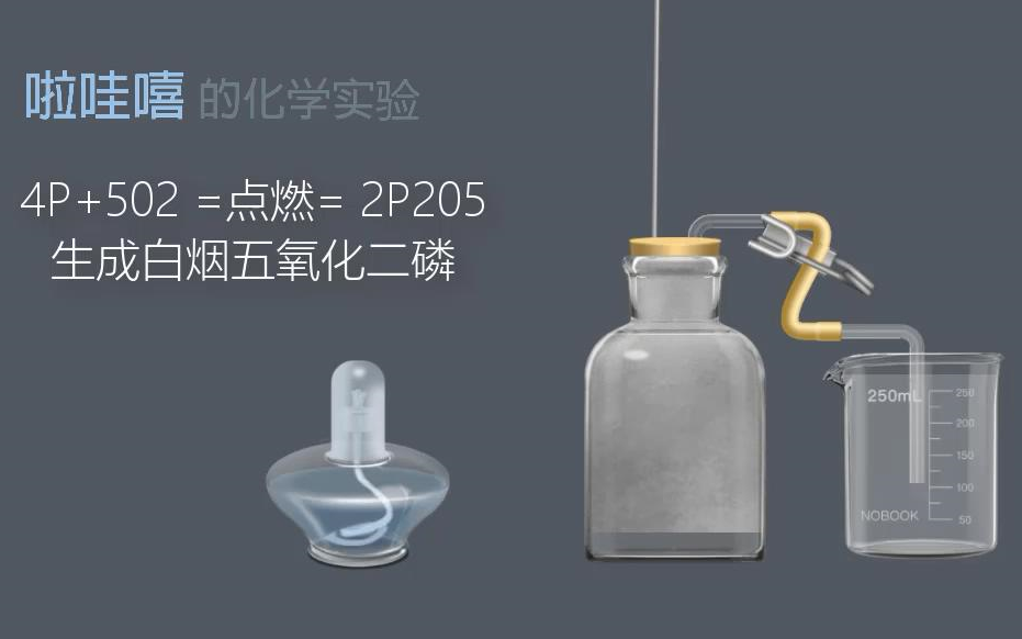 【初中实验】测定空气里氧气的含量：红磷在氧气中燃烧【九上2-1】