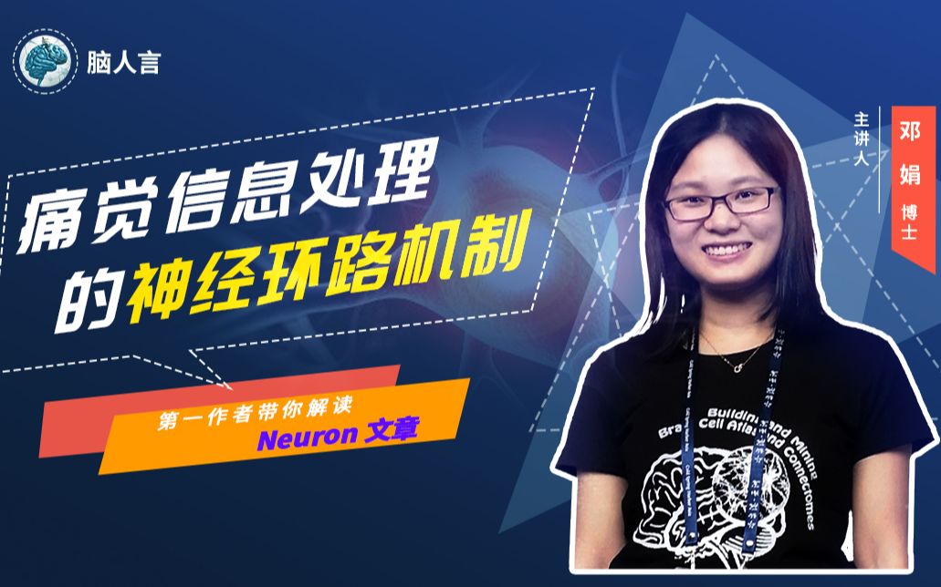 NeuReport 第3期 | 痛觉信息处理的神经环路机制