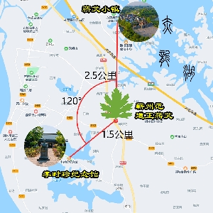 蕲州范古法石臼艾 
