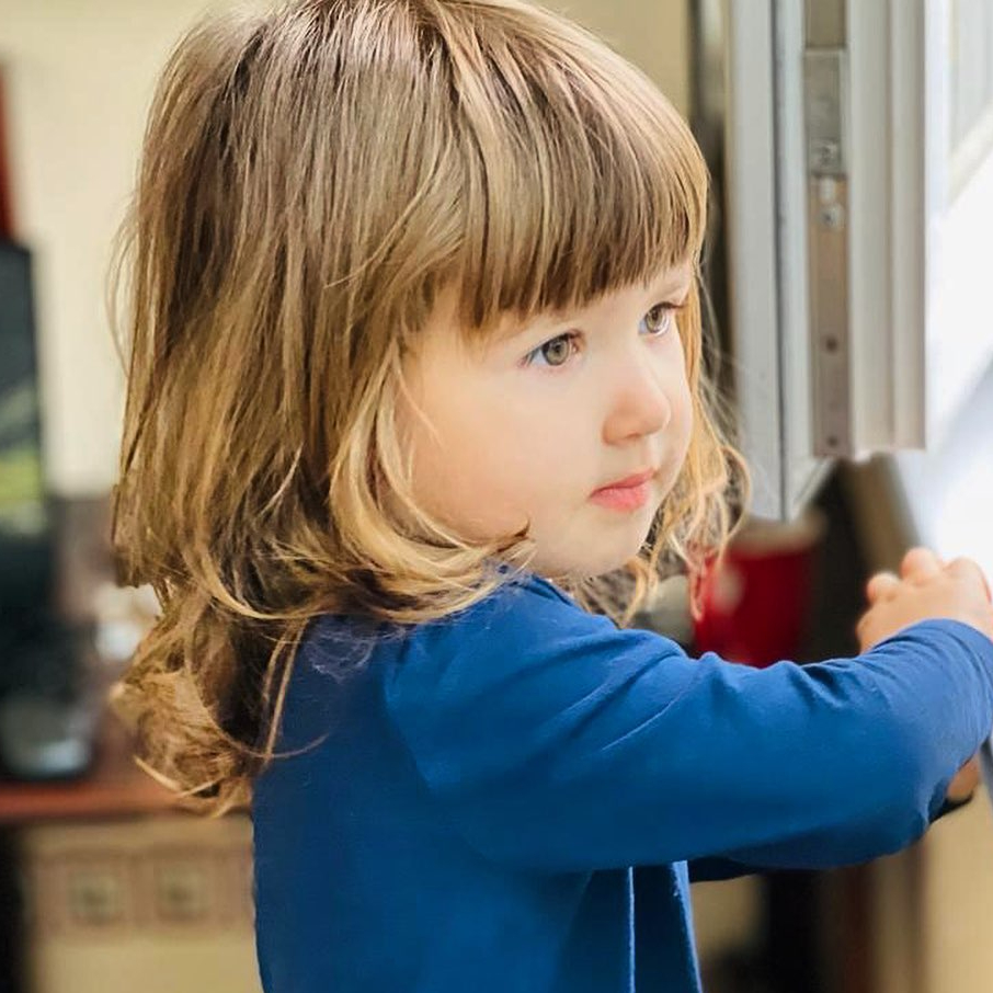 安格丽娜的动物王国 