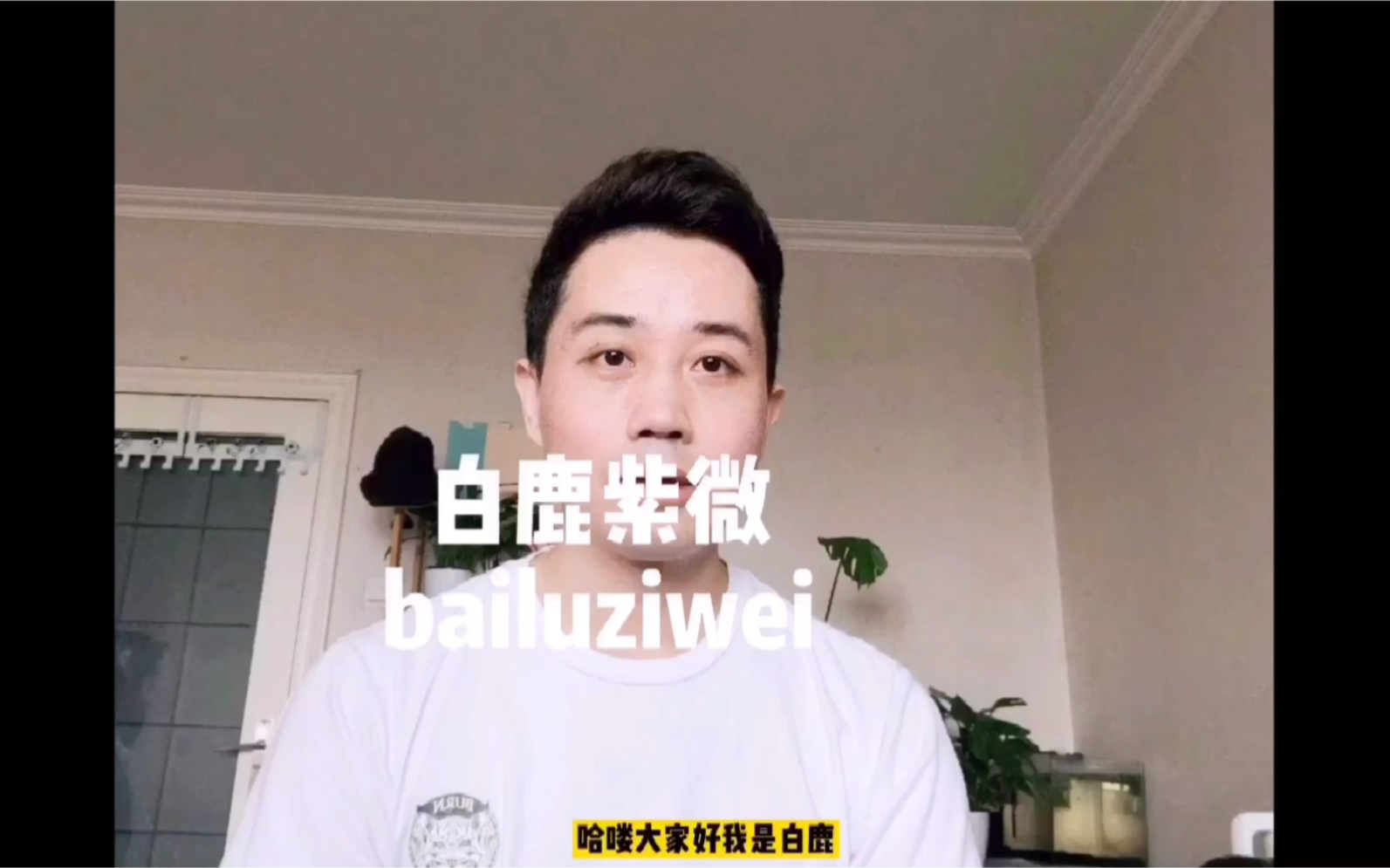 11白鹿紫微斗数从0到1:紫微斗数星曜详解,星曜五行对应,六十纳音含义...