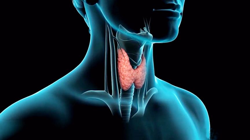 3D动画演示甲状腺手术全过程,身体健康才是生活之重