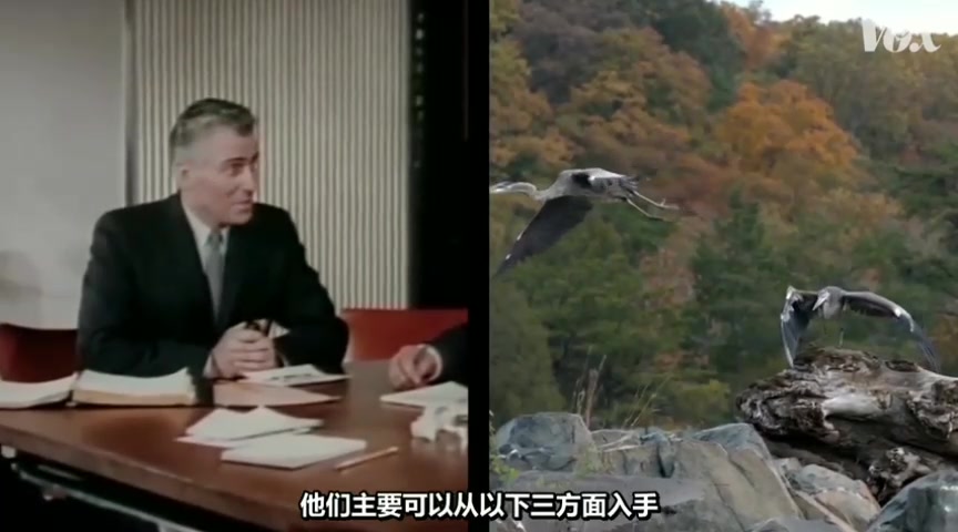 【4K优秀作品系列026】令人惊叹的仿生学