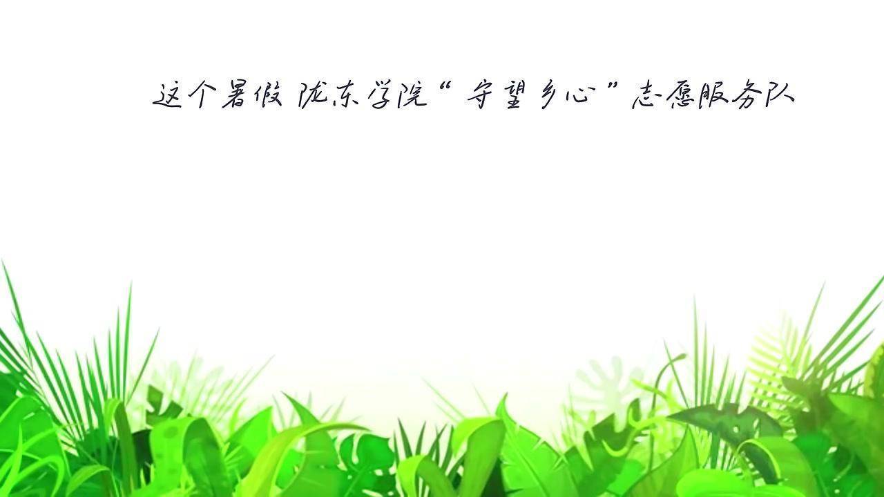 【强国复兴有我】什丰村来了"青春力量"#三下乡大学生暑假实践活动(...