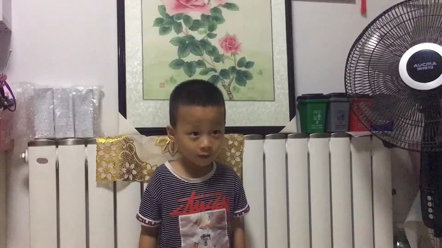 幼儿园儿子的兴趣班是小小主持人,第一课到底学了些什么知识呢