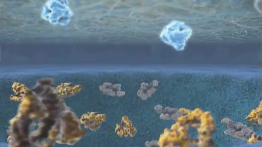 细胞内部分子活动,感受细胞内部的奇妙世界