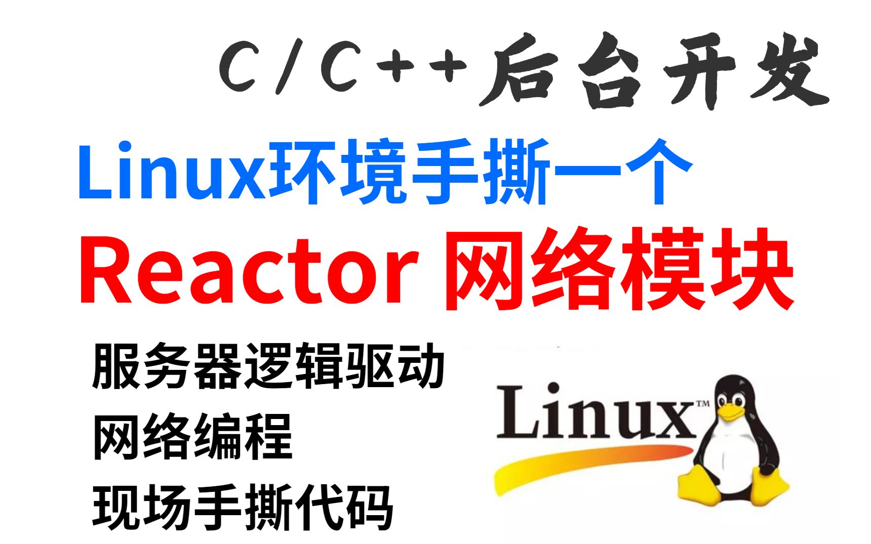 Linux服务端手撕一个reactor网络模块(服务器逻辑驱动方式、网络编程...