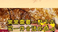 淘宝的转化率 是什么