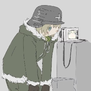 鱼仔大龟 