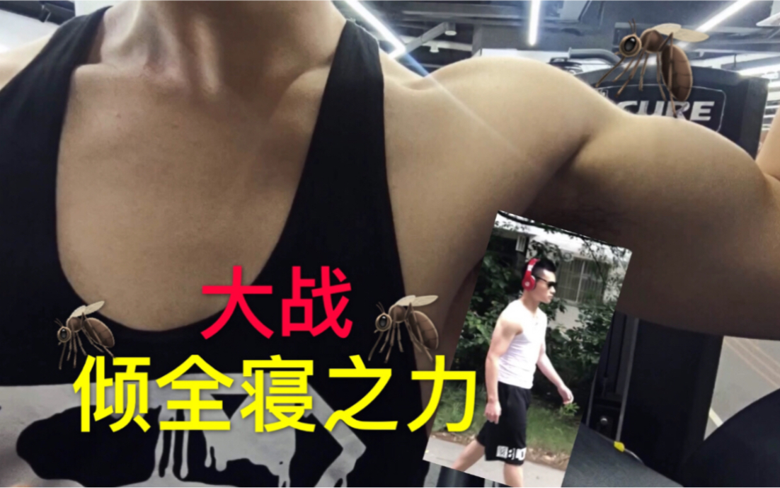 ...打得过蚊子吗?【宿舍生活最终章】|小摩尔のVLOG Ep.18|日常即史诗