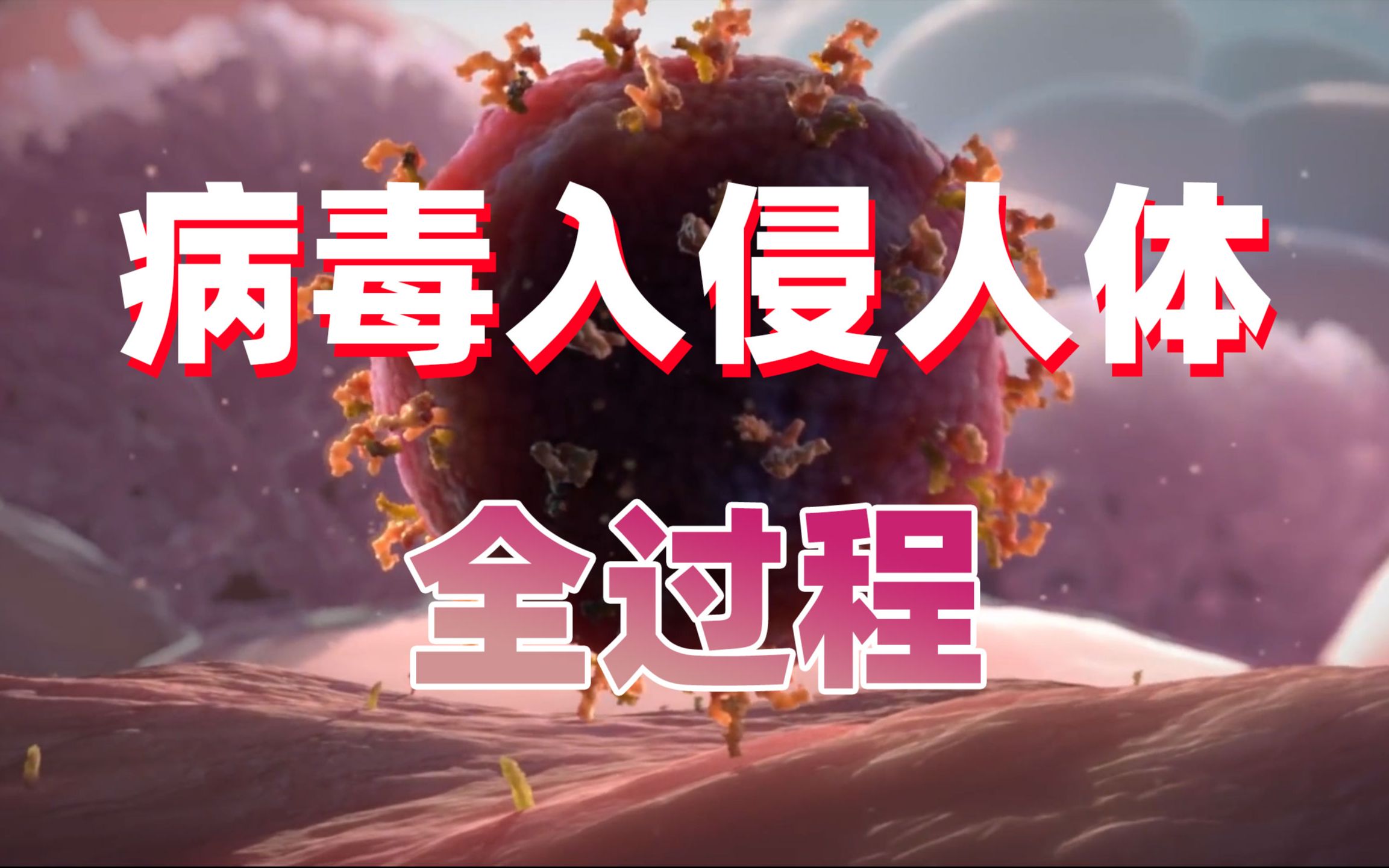 4分钟3D动画告诉你病毒入侵人体全过程
