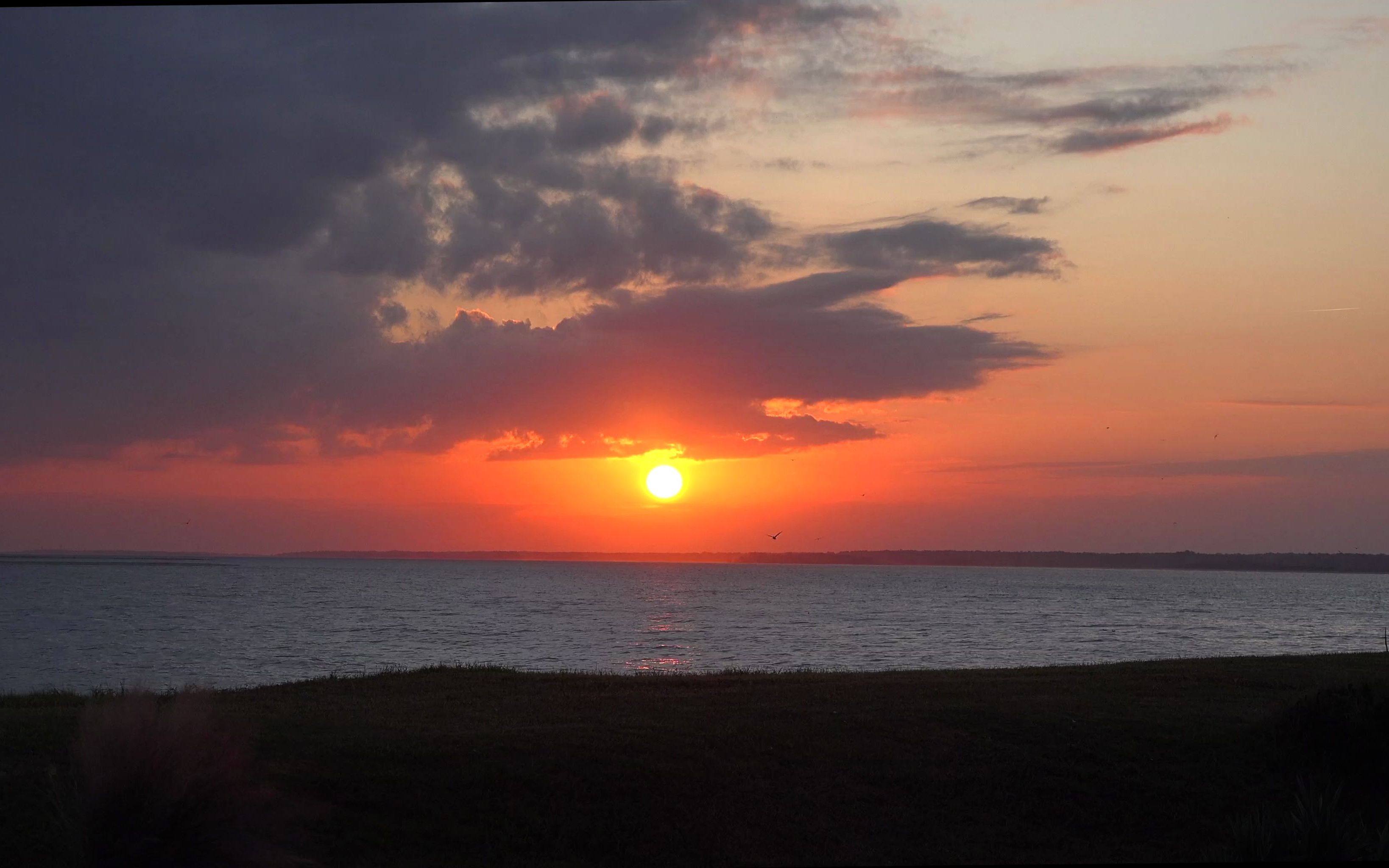 【空镜头】夕阳大海海洋飞鸟 素材分享