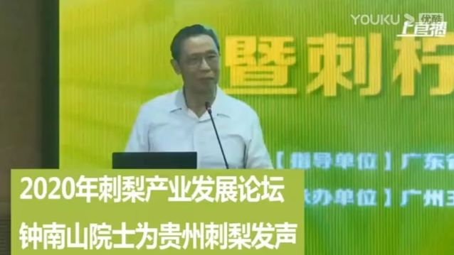 小小刺梨居然有这么大功效