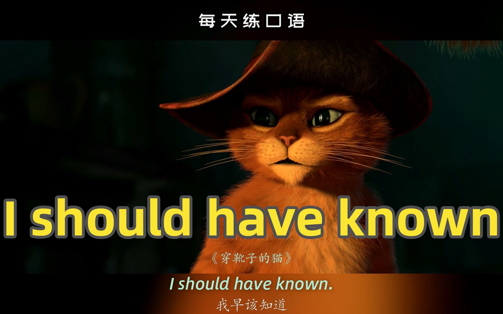【A373】看电影学英语口语~I should have known