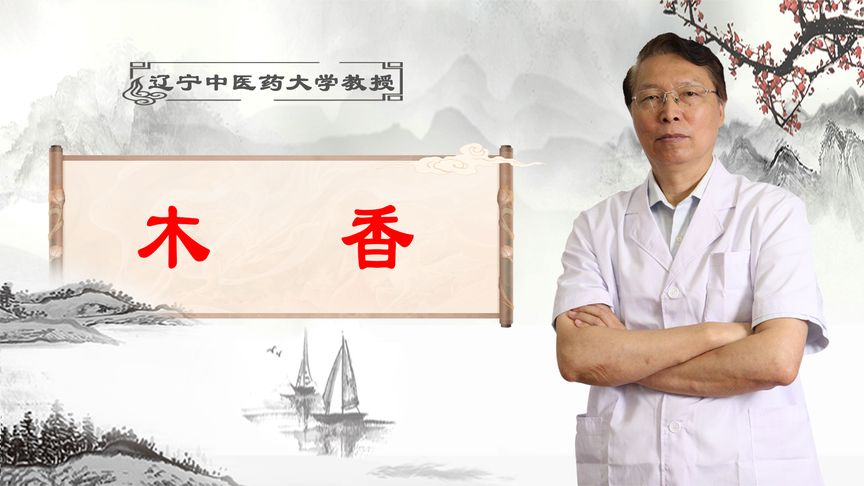 老中医讲木香,十种作用,教你如何使用