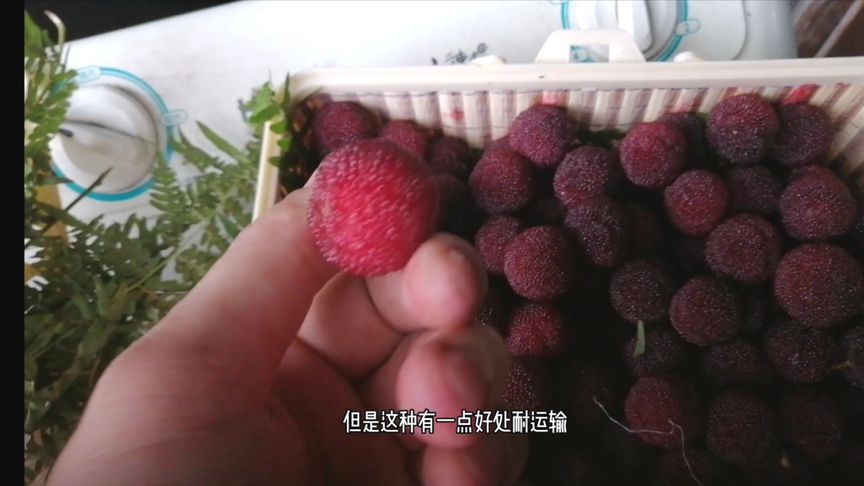 今天公司发福利,发了一箱杨梅,海涛向大家介绍杨梅的功效