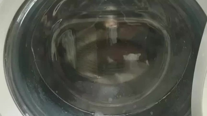 洗衣机用四年了今天给清洗消毒ߘ