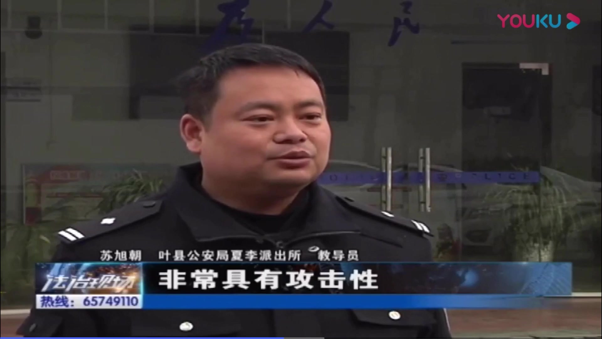 恶犬“发疯”咬人,民警持枪果断击毙,镜头记录全过程