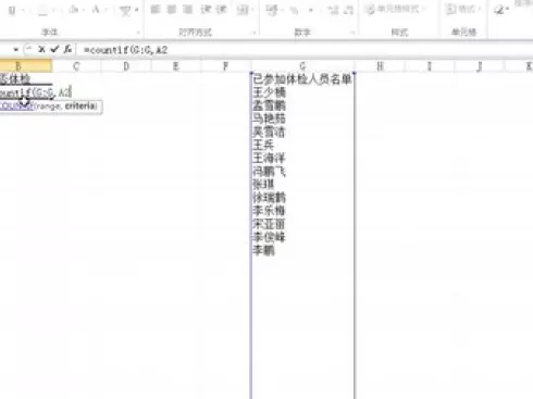 【王佩丰】Excel 2010 入门视频教程第9讲:COUNTIF函数