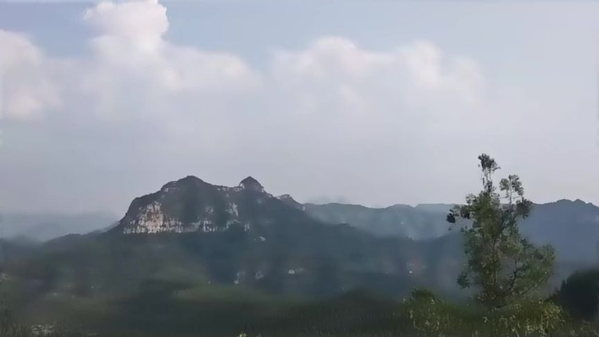 #三下乡社会实践活动 #社会实践三下乡