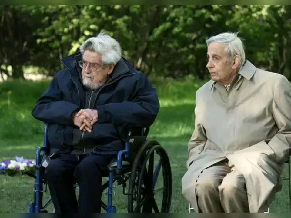 美国一流数学家——Louis Nirenberg 奠基现代非线性椭圆方程理论!