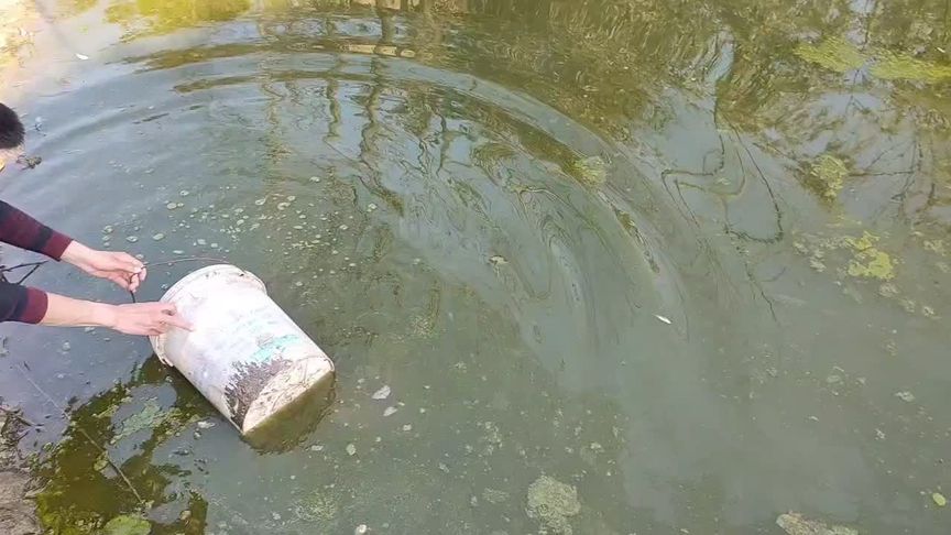 种植树木,保护环境ߌ�ߌ�ߌ