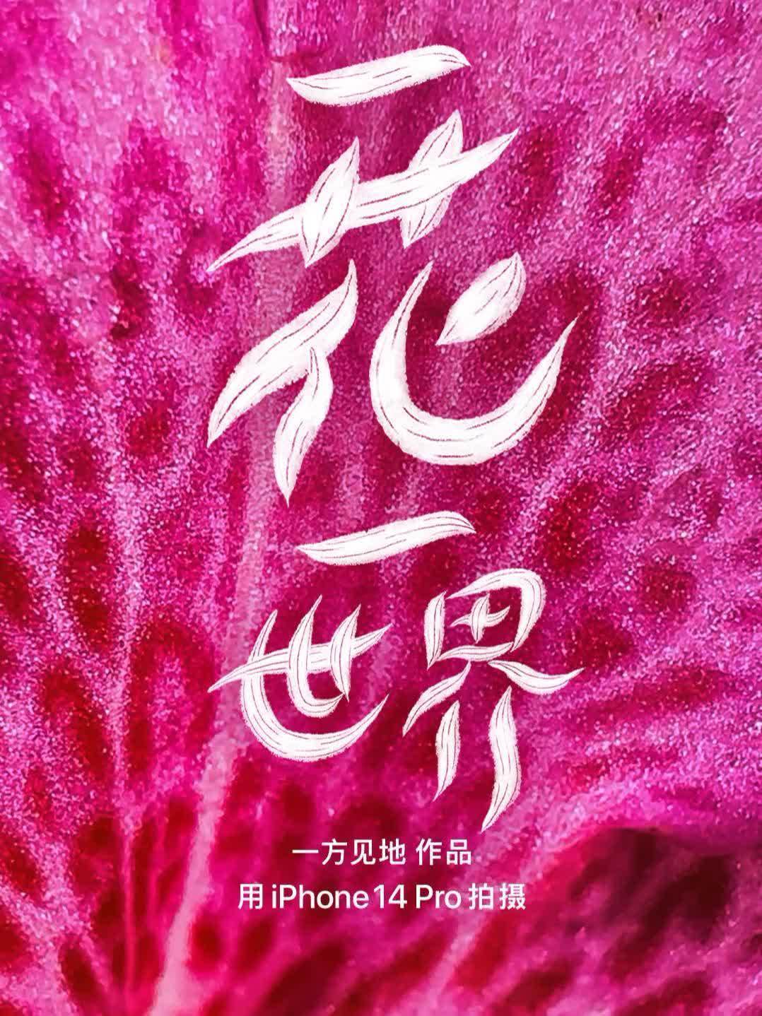 花开时,花的里里外外在发生什么?美丽的盛放下藏着精细的结构和流程,...