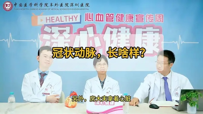 冠状动脉,长啥样?