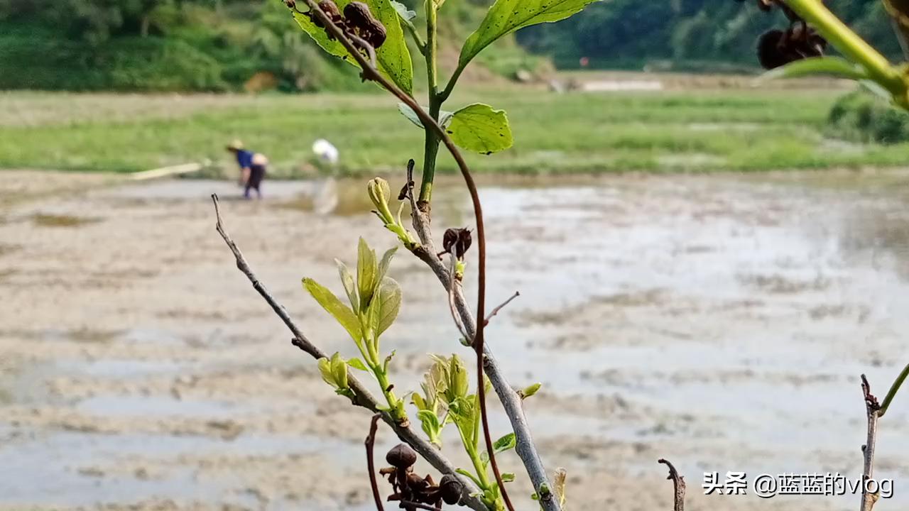 五一劳动节,今天,为努力工作的人打call向当代劳动模范致敬