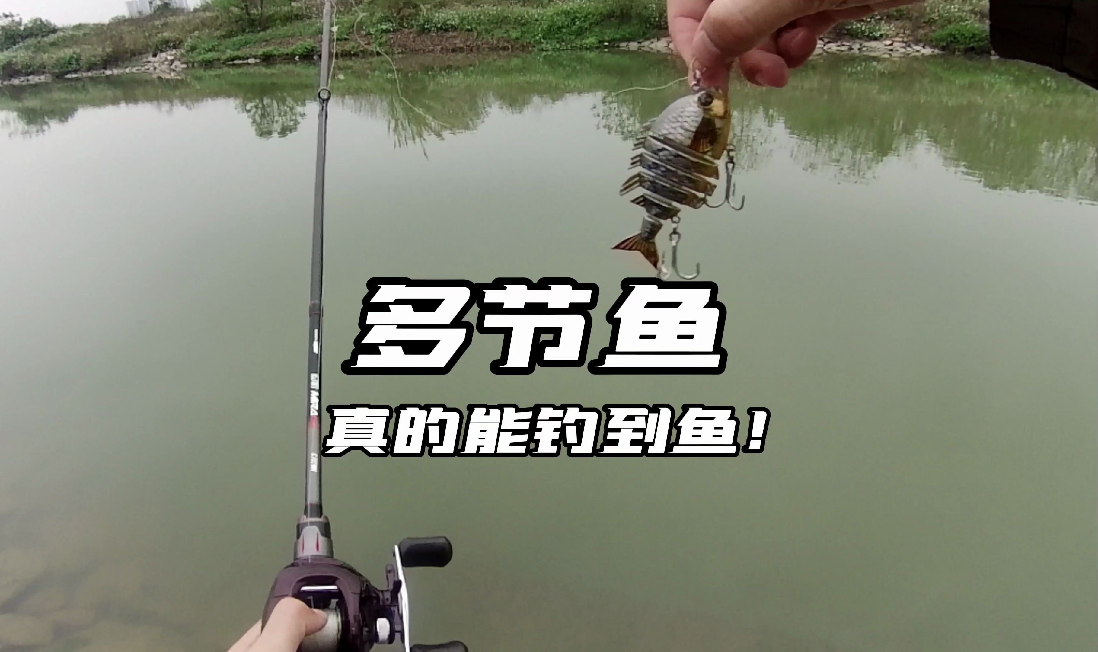 狗都不玩的冷门饵竟然也能钓到鱼!