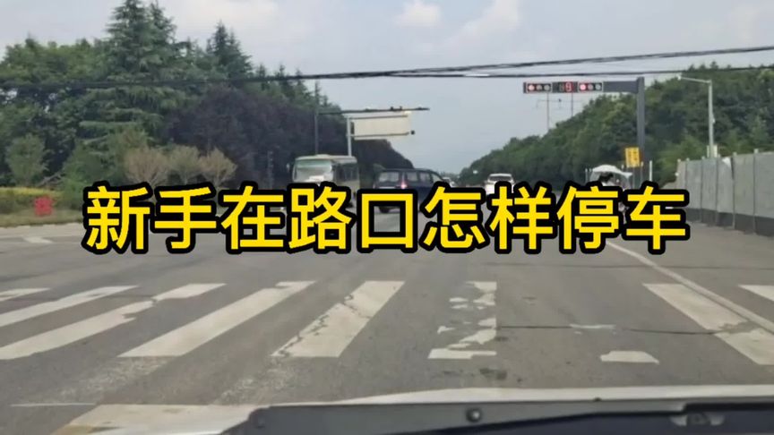 新手在红绿灯路口如何判定车距停车#交通安全 #汽车知识