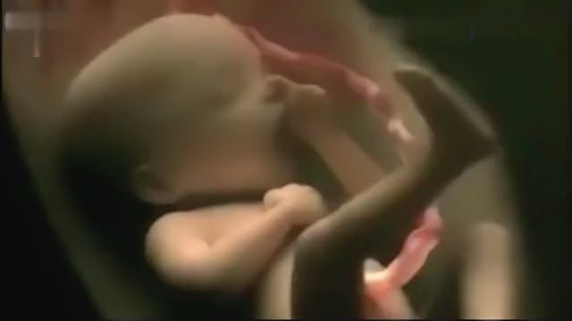 宝宝怎么来?快镜头让你了解胎儿如何形成并出生的,生命真是神奇