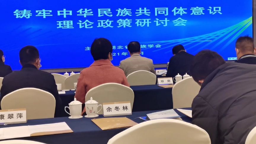 中南民族大学田敏教授精彩点评铸牢中华民族共同体意识研讨发言