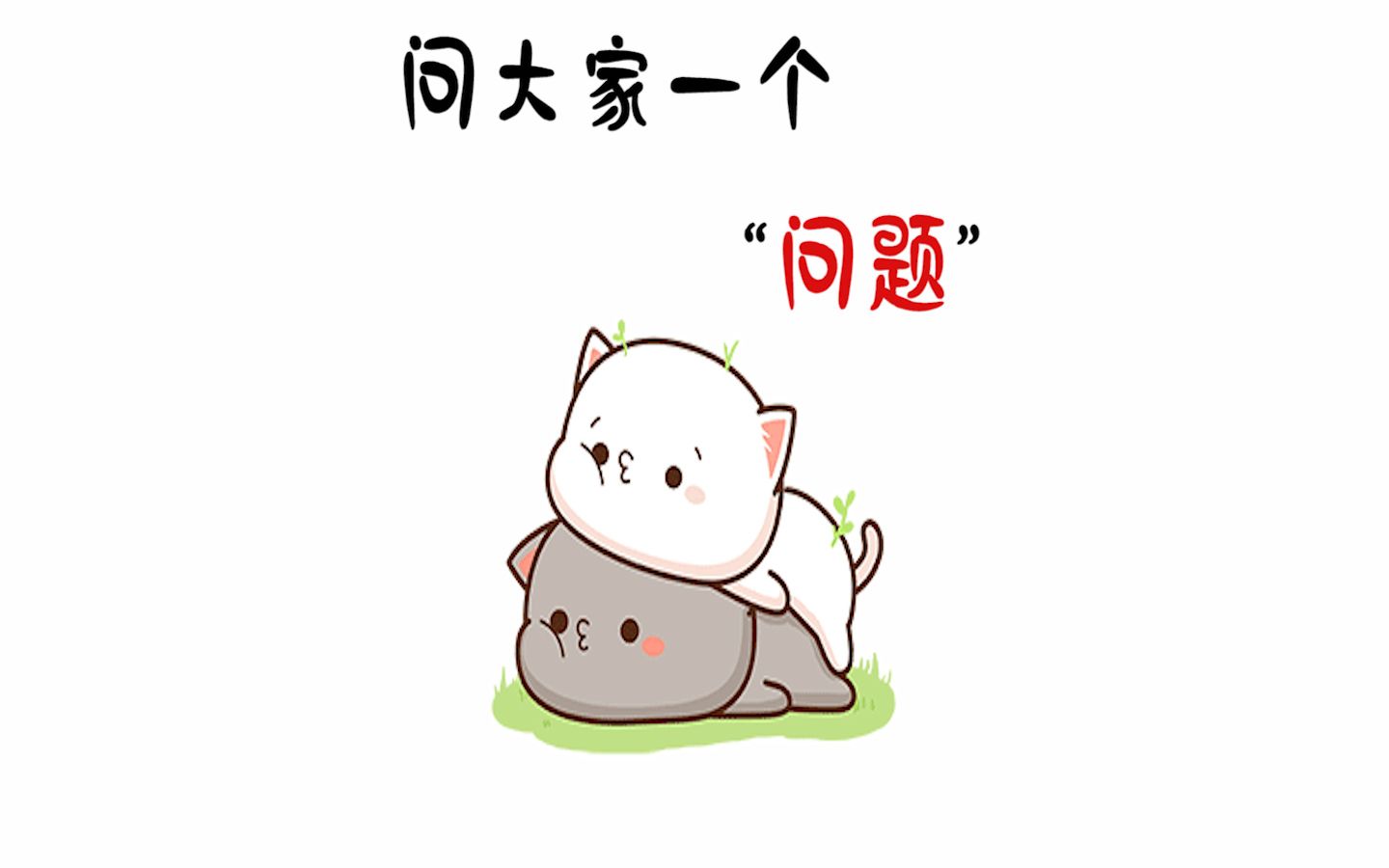 谁来和我解释一下动词后面是什么?