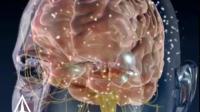 3D医疗动画:神经传输 - Neurotransmission