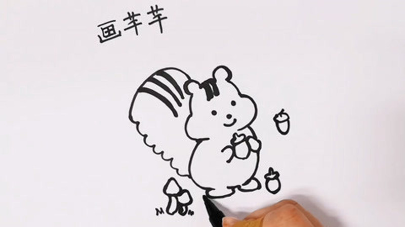 卡通简笔画,小松鼠