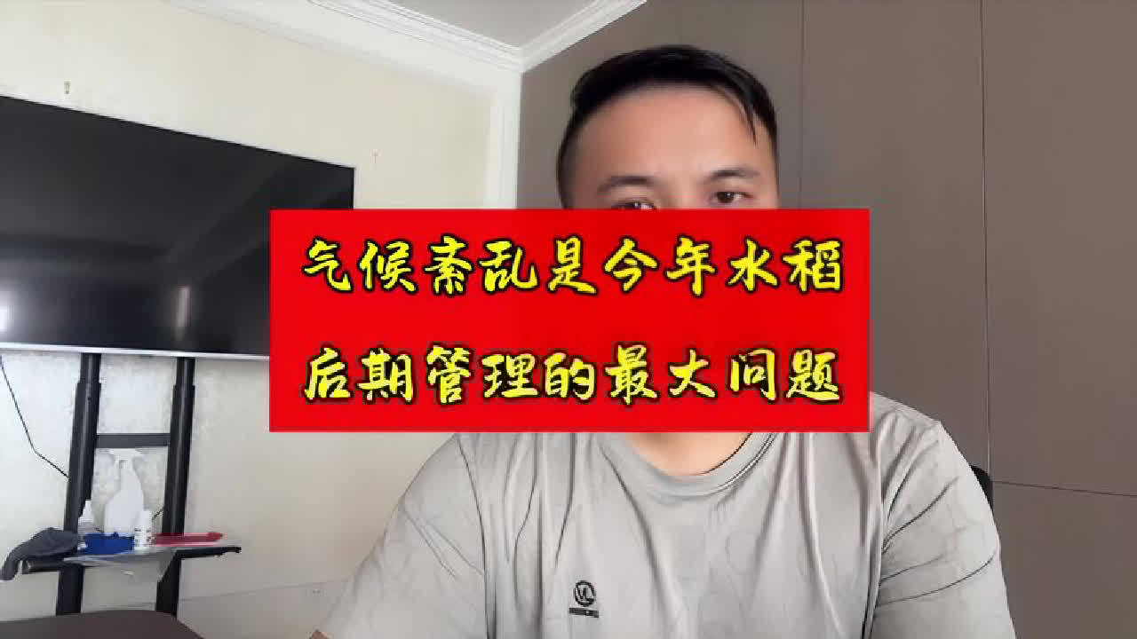 气候紊乱是今年水稻后期管理的最大问题:有的人还在除草