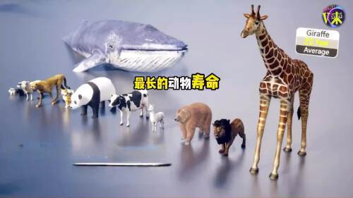 你知道世界上寿命最长的动物是谁吗 你知道世界上寿命最长的动物是谁吗