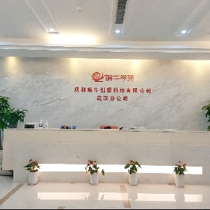 蜗牛学苑-武汉校区 