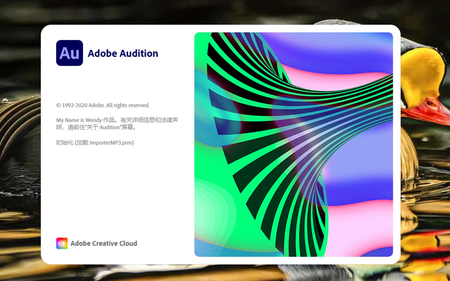 ...师必备AU 2020 中文完整-永久使用版 Audition2020 一键下载安装教程