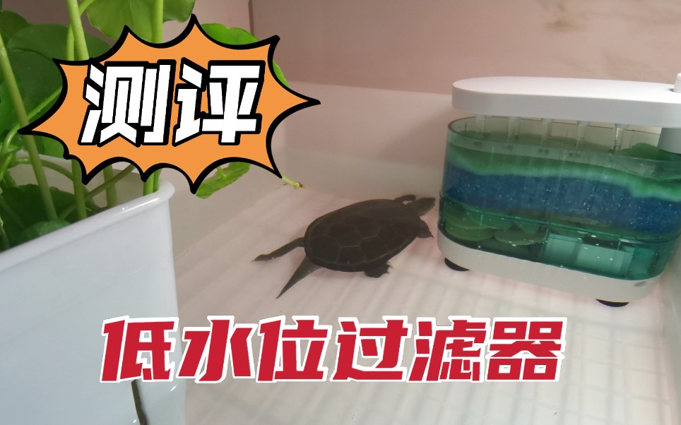 细说这款低水位过滤器的优缺点!有些情况不建议使用哦!