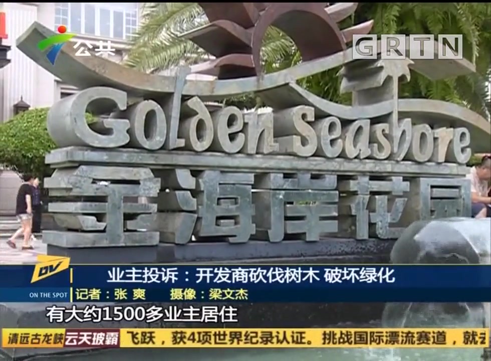 广州番禺:开发商砍伐树木 破坏绿化