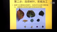 树叶剪贴画的制作