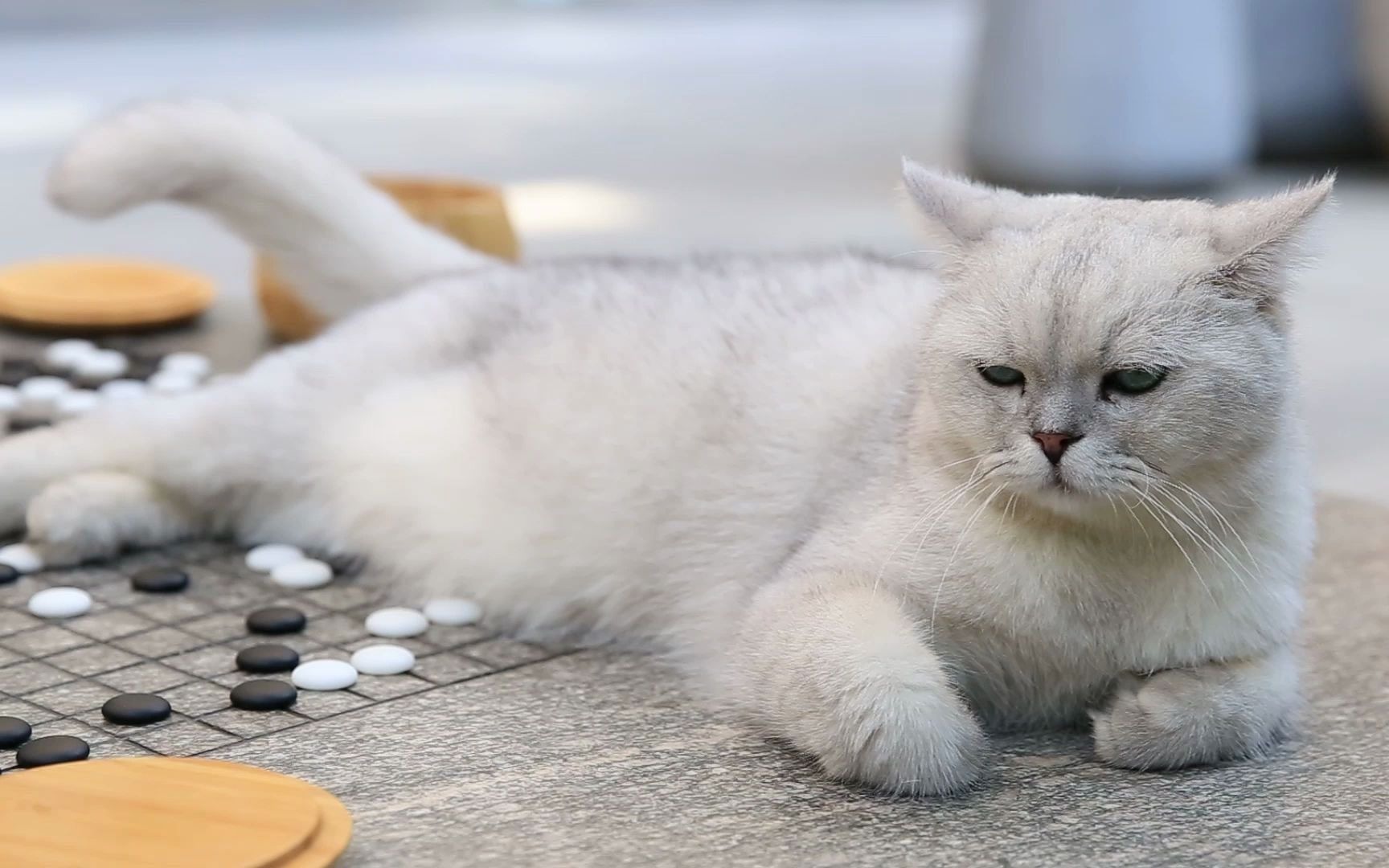 手谈标昔美,坐隐逸前良。 参差分两势,玄素引双行。围棋,就是这么美!