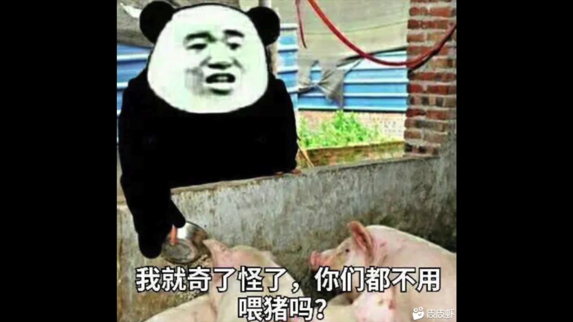 联想拯救者2018款Y7000_Y530黑苹果升级10.15.2 Catalina完美